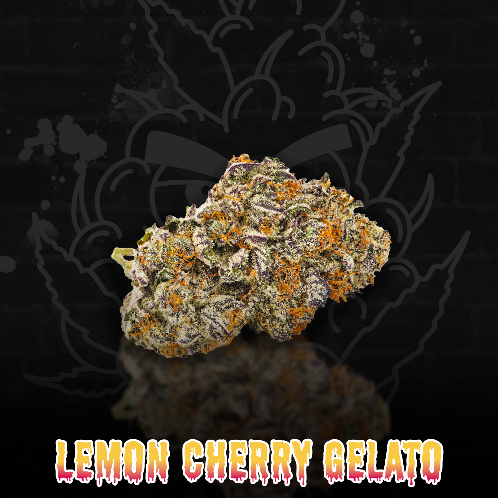 VIRÁGOK – LEMON CHERRY GELATO - Grammsúly: 14G :: Gasstationcbd.com