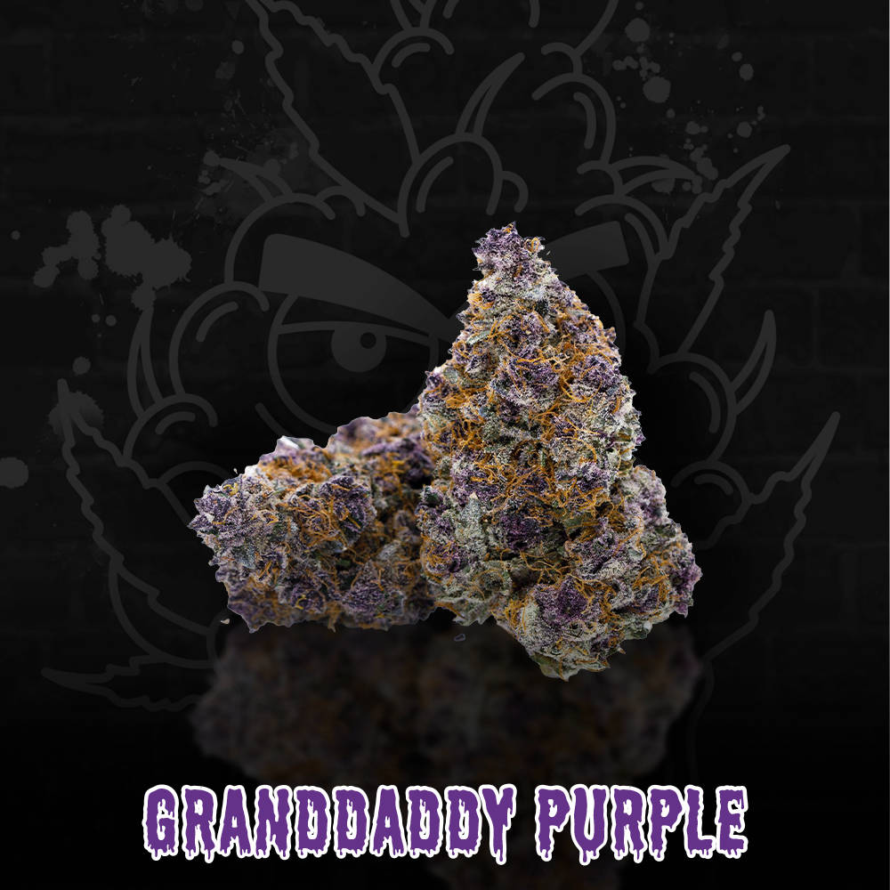 VIRÁGOK – GRANDDADDY PURPLE - Grammsúly: 7G :: Gasstationcbd.com